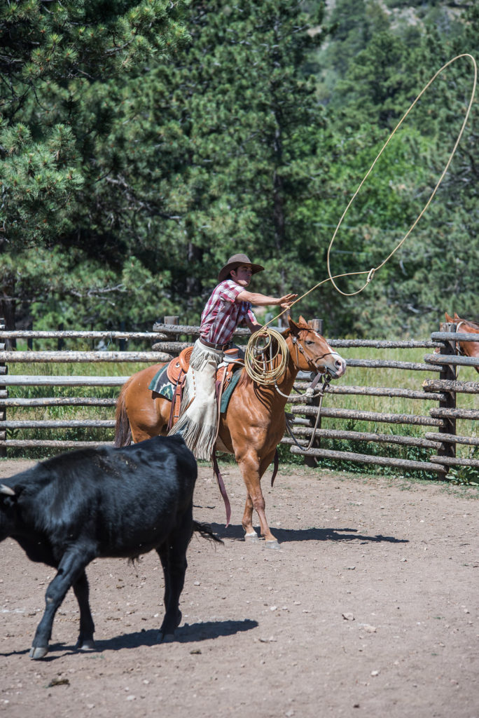 Colorado Horseback Riding Vacations in Livermore, CO | Cherokee