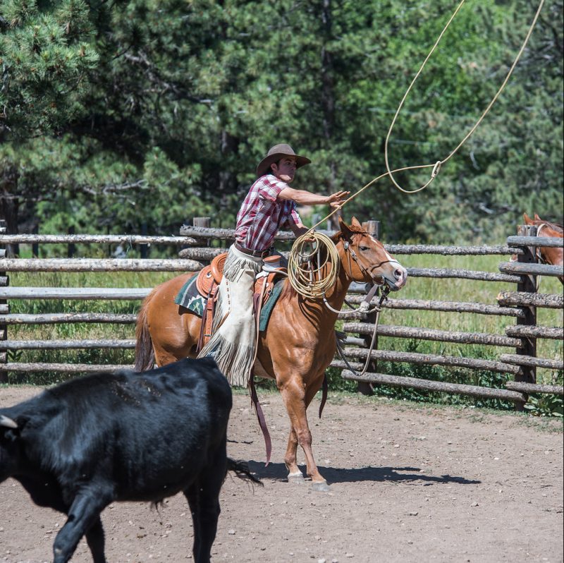 Colorado Horseback Riding Vacations in Livermore, CO | Cherokee
