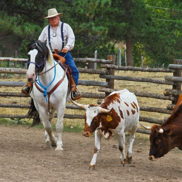 Colorado Horseback Riding Vacations in Livermore, CO | Cherokee